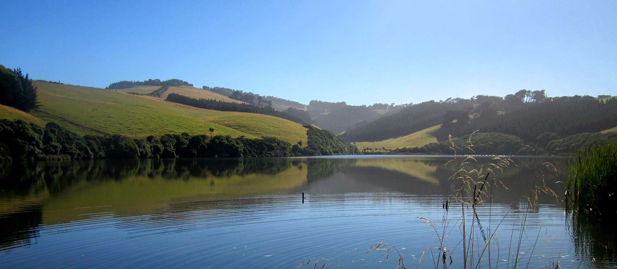 Contact us – Tomahawk Lagoon Citizen Science Team