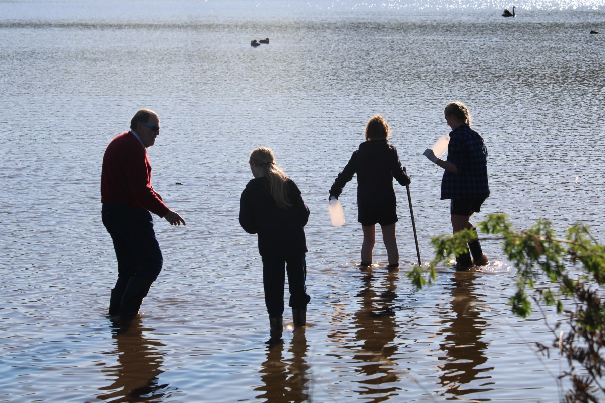 Results – Tomahawk Lagoon Citizen Science Team